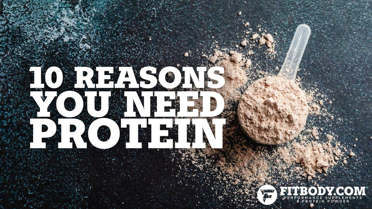Why You Need Protein - Top 10 Reasons — FITBODY.com